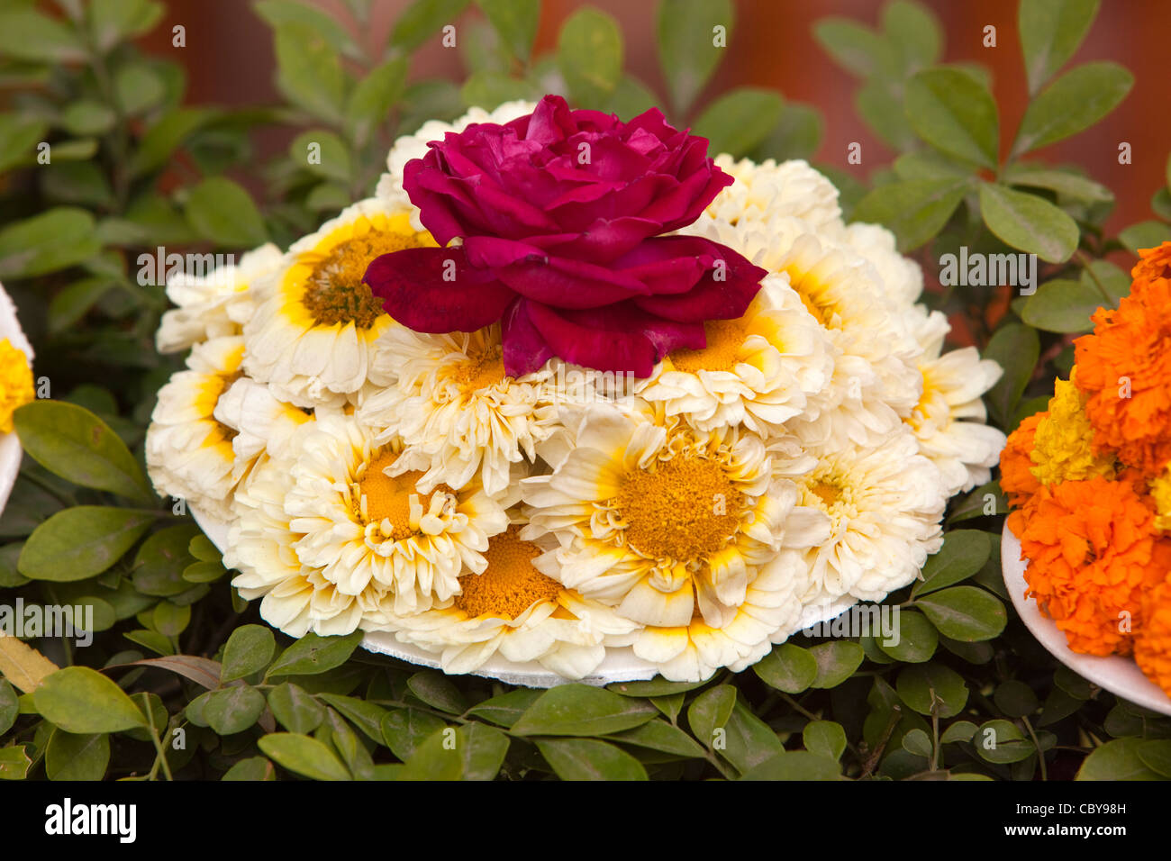 Offering flowers india hi-res stock photography and images - Alamy