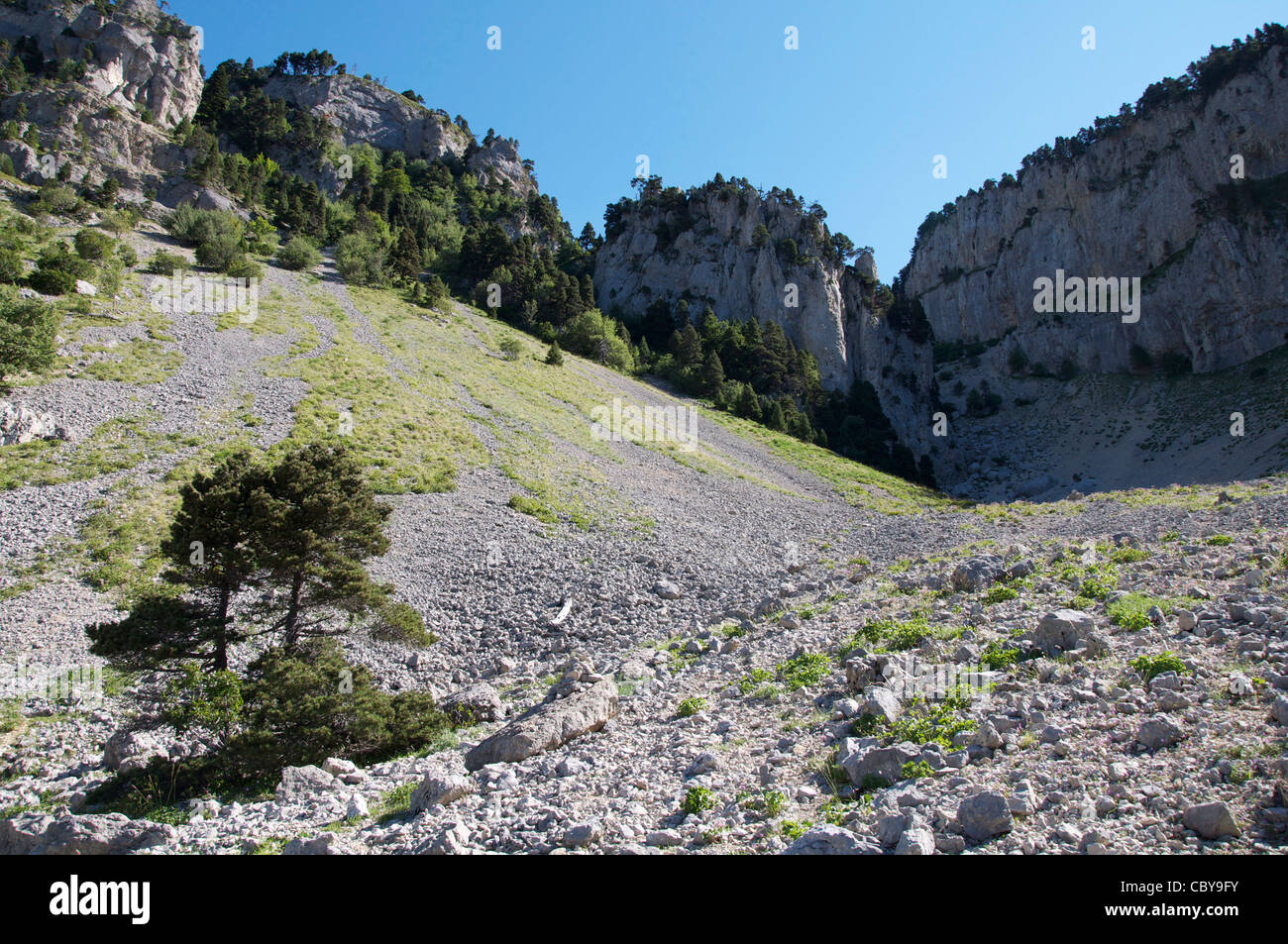 Rugged stony landscape, with massive limestone cliffs and screes, below ...