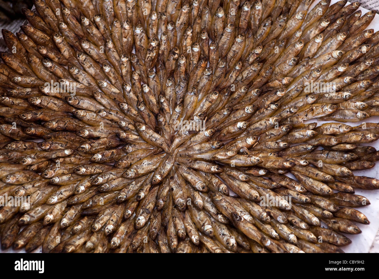 India, Manipur, Imphal, Khwairamband Bazaar, women’s market radiating ...