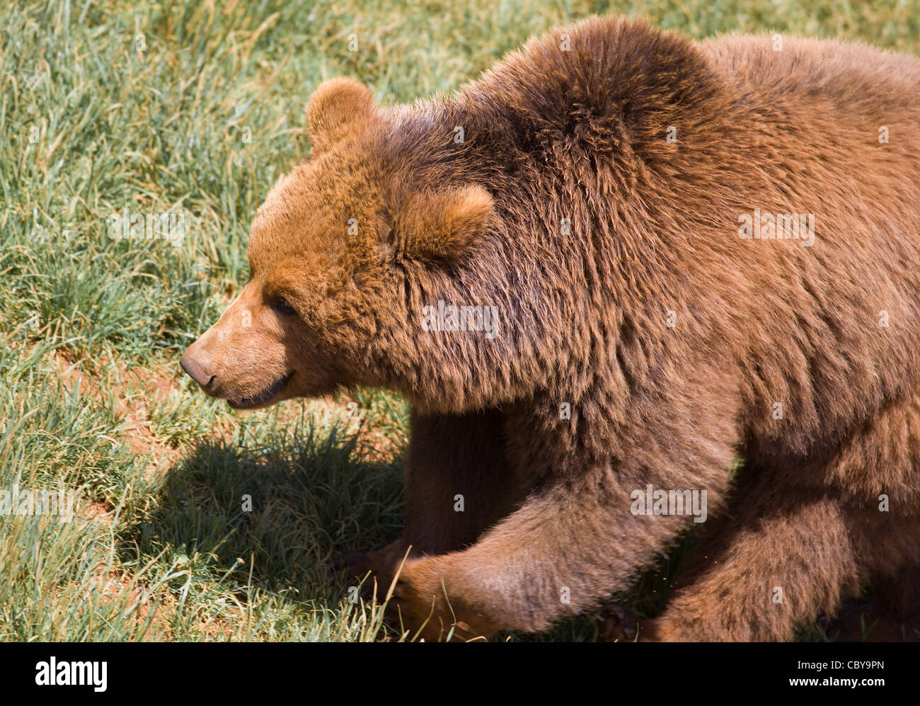 Predatory marketing hi-res stock photography and images - Alamy