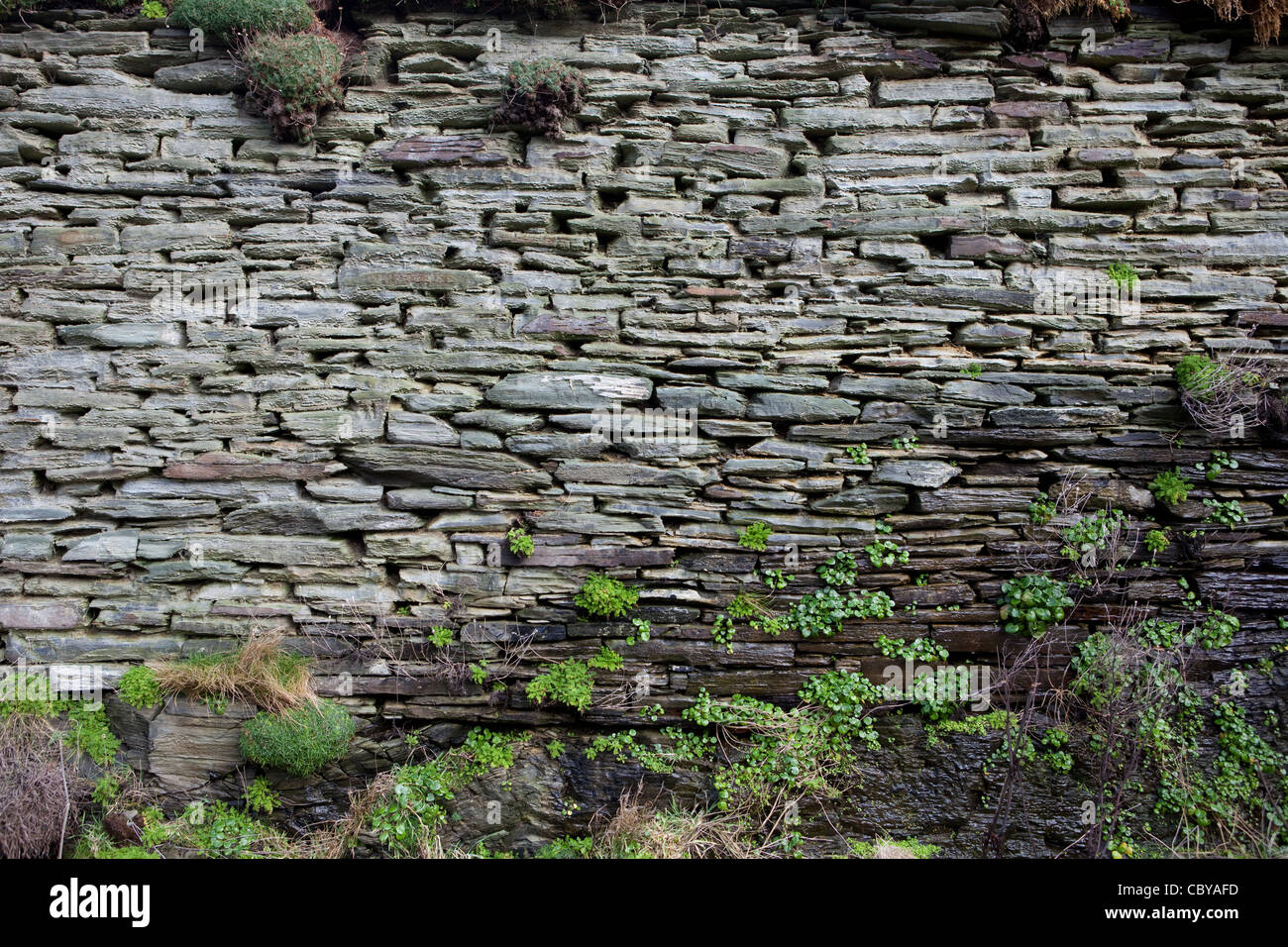 Cornish Brick wall Stock Photo - Alamy