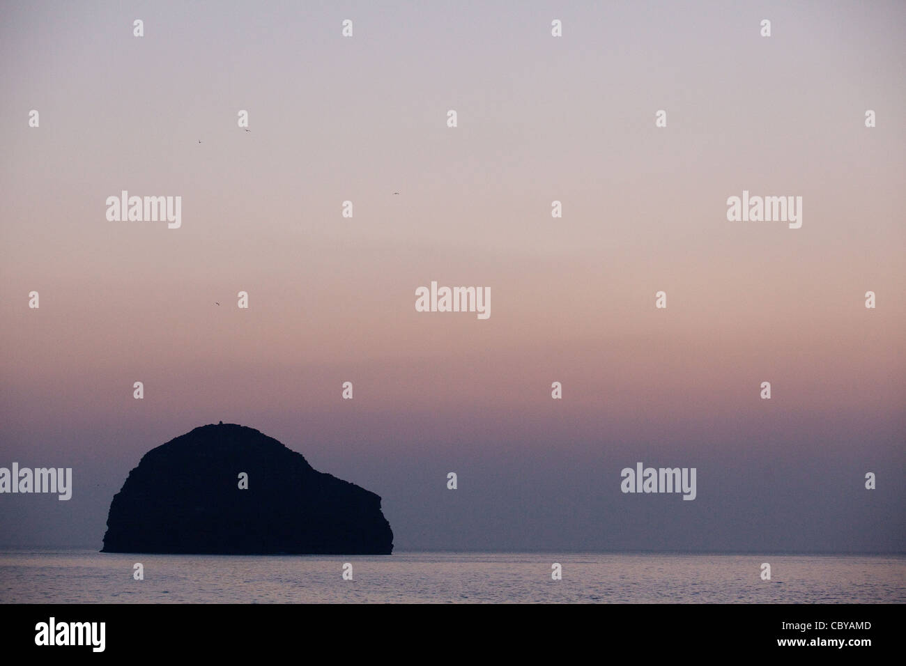 Gull rock hi-res stock photography and images - Alamy