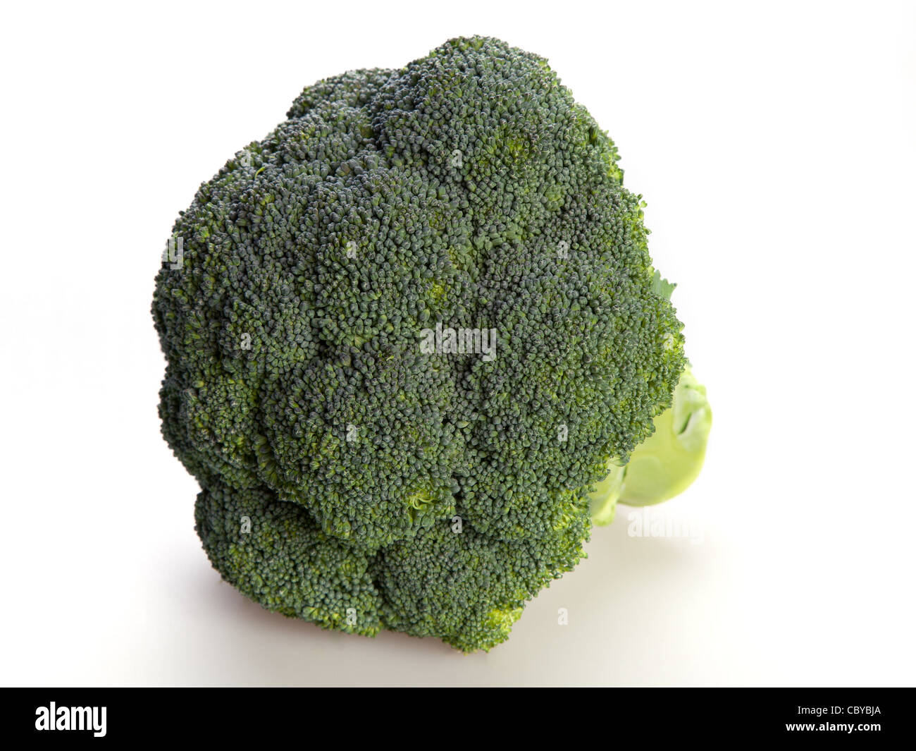 Head broccoli hi-res stock photography and images - Alamy