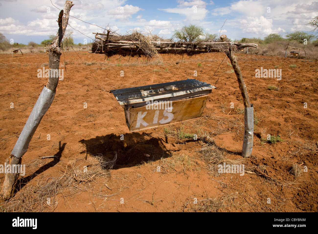 Elephant deterring beehive fence in Sagalla near Voi in southern Kenya ...