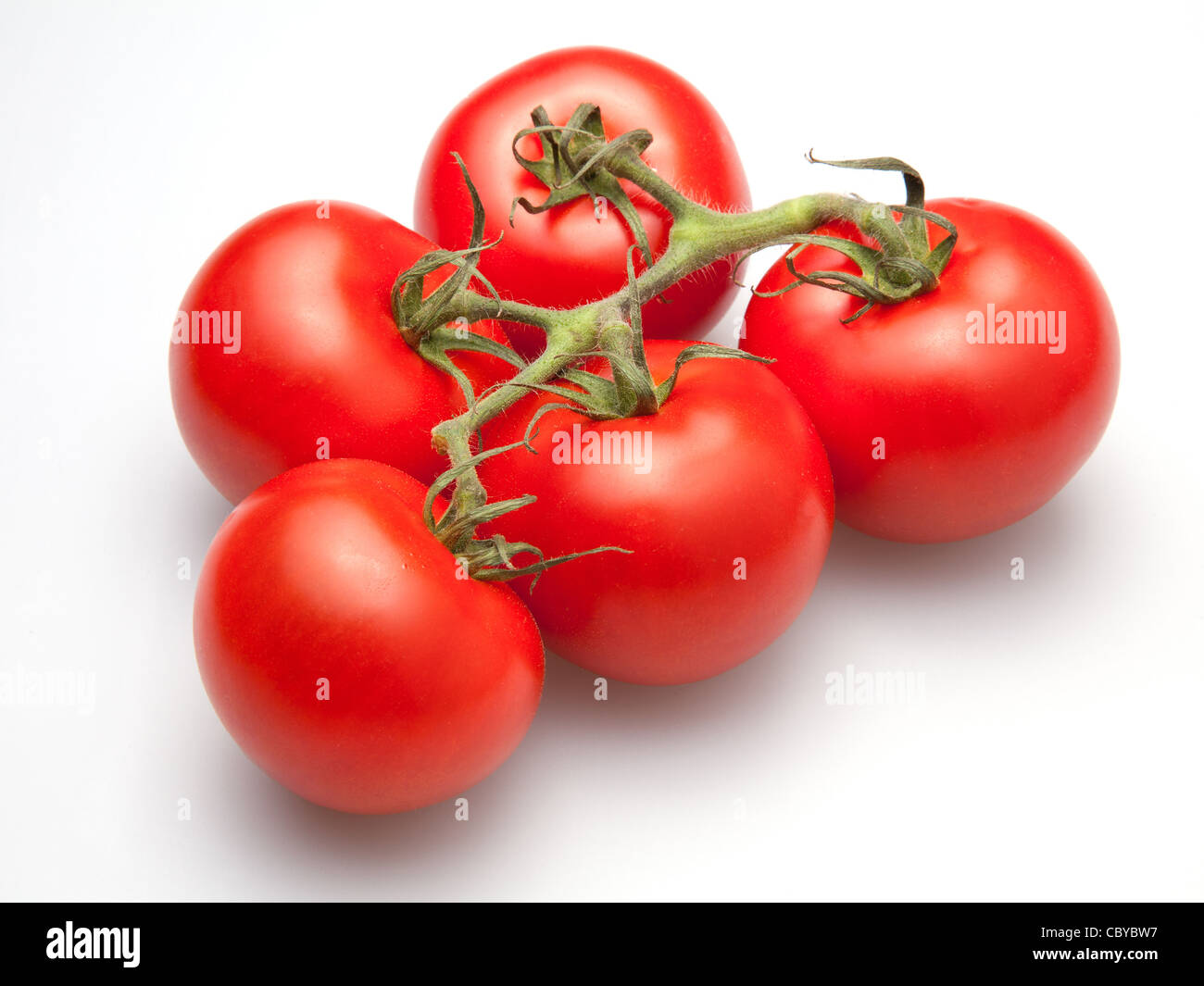 Group of five vine tomatoes Stock Photo - Alamy