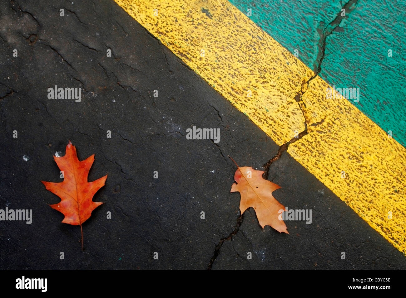 Leaf two leaves line hi-res stock photography and images - Alamy