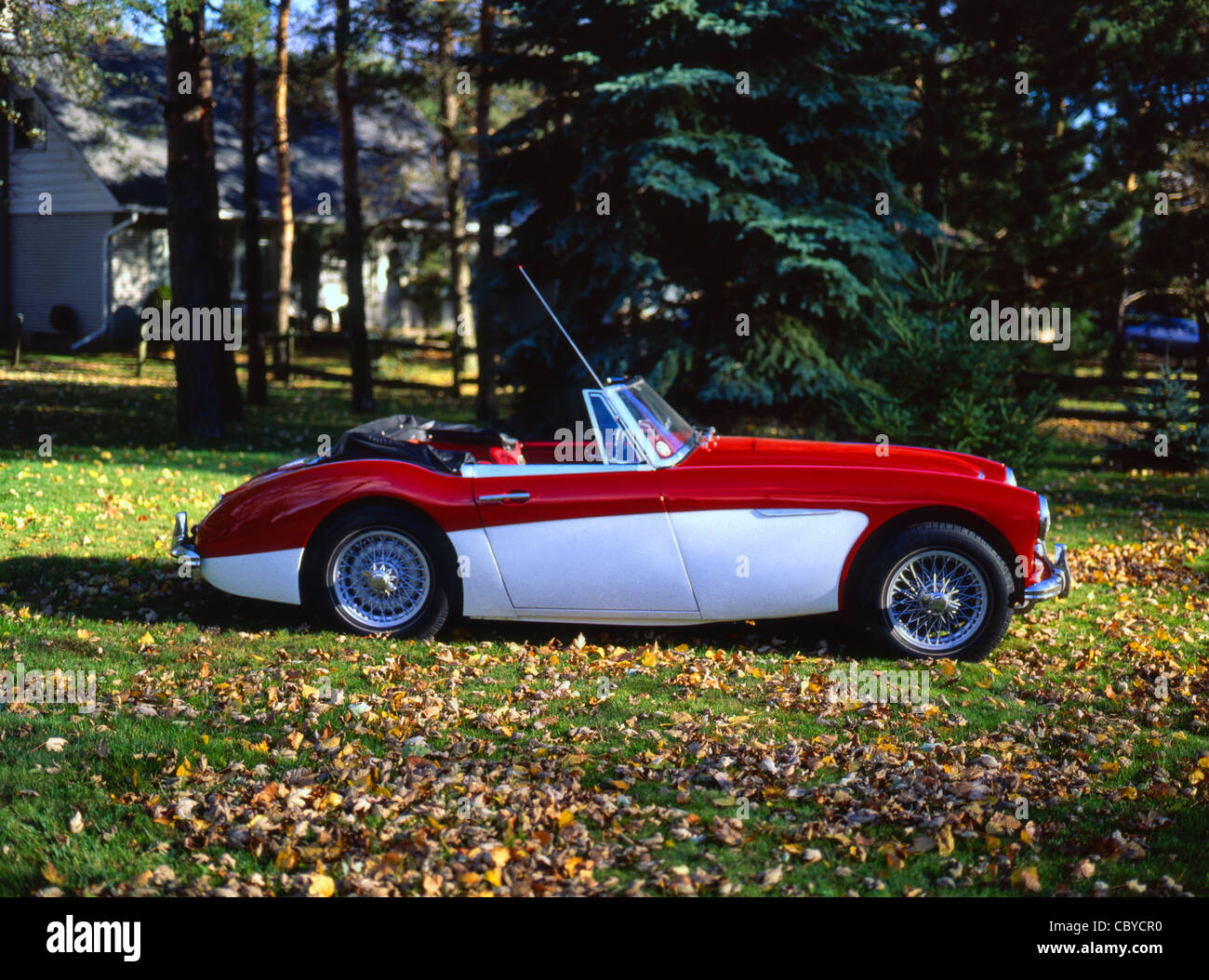1963 Austin Healey 3000-MKII-13J7 Stock Photo - Alamy