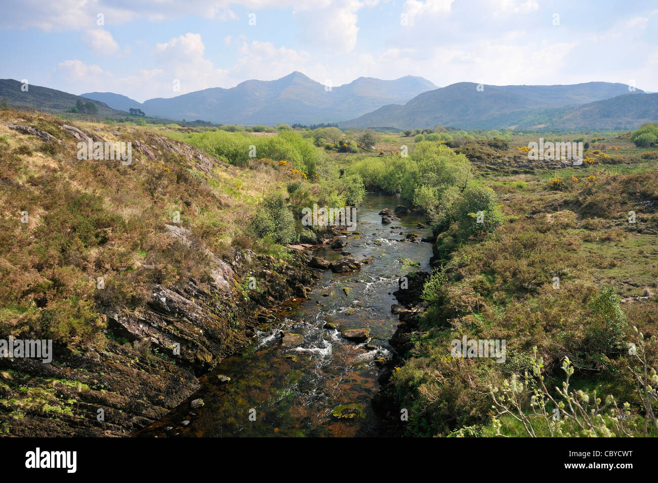 River Caragh and Mullaghanattin Mountain Range viewed from Curragh Beg ...