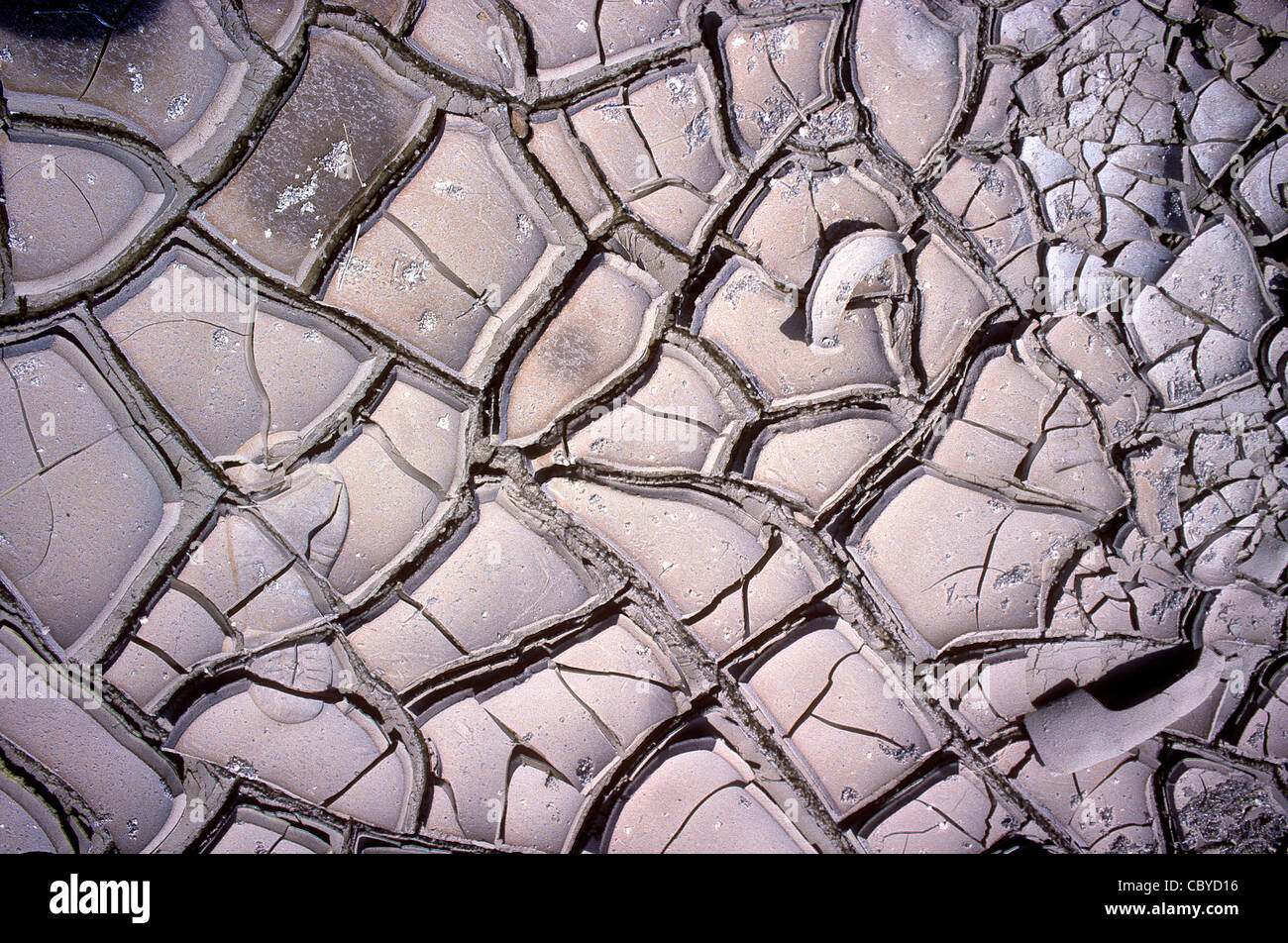 Dried and cracked mud plates Stock Photo - Alamy