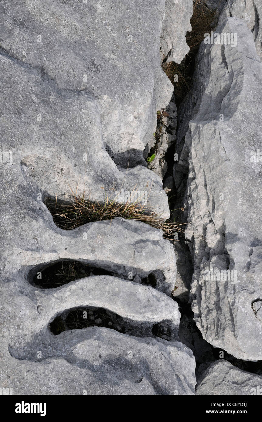 Water Eroded Limestone Grykes, The Burren Stock Photo - Alamy