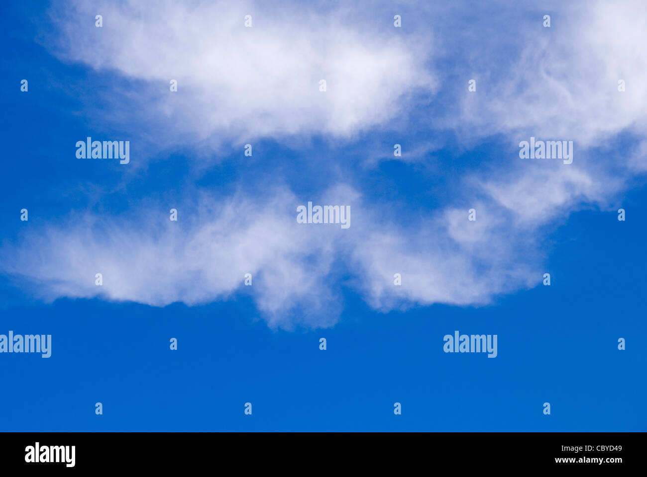 Uncinus hi-res stock photography and images - Alamy
