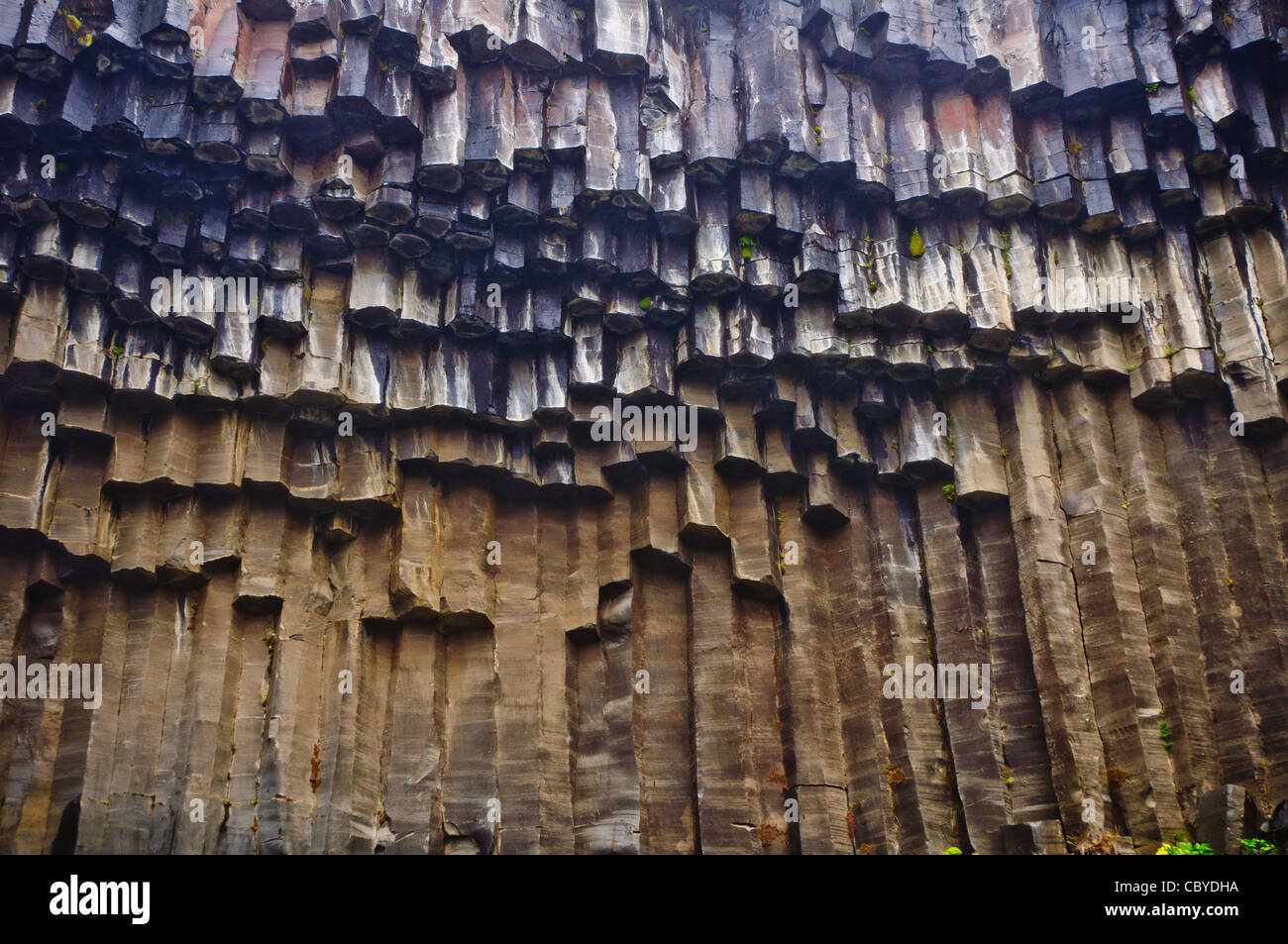 Basaltic columns at Svartifoss, Iceland Stock Photo - Alamy