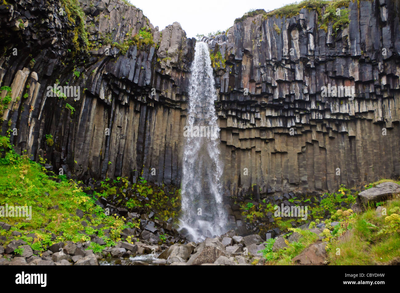 Basaltic columns at Svartifoss, Iceland Stock Photo - Alamy