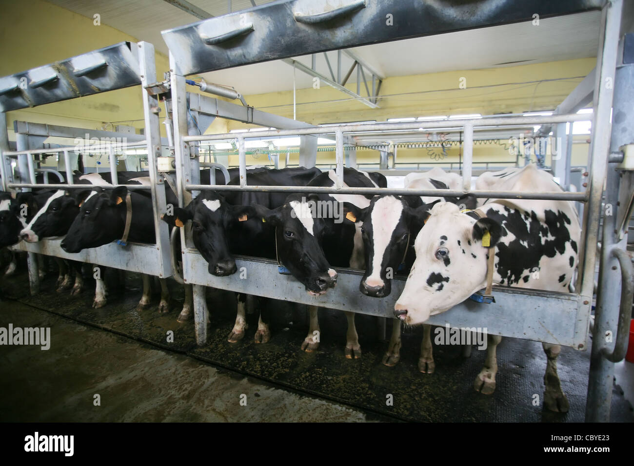 Milk factory hi-res stock photography and images - Alamy