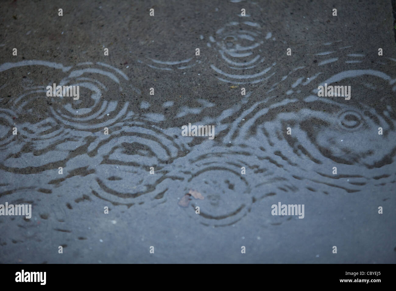 Rain Circles in a puddle Stock Photo - Alamy