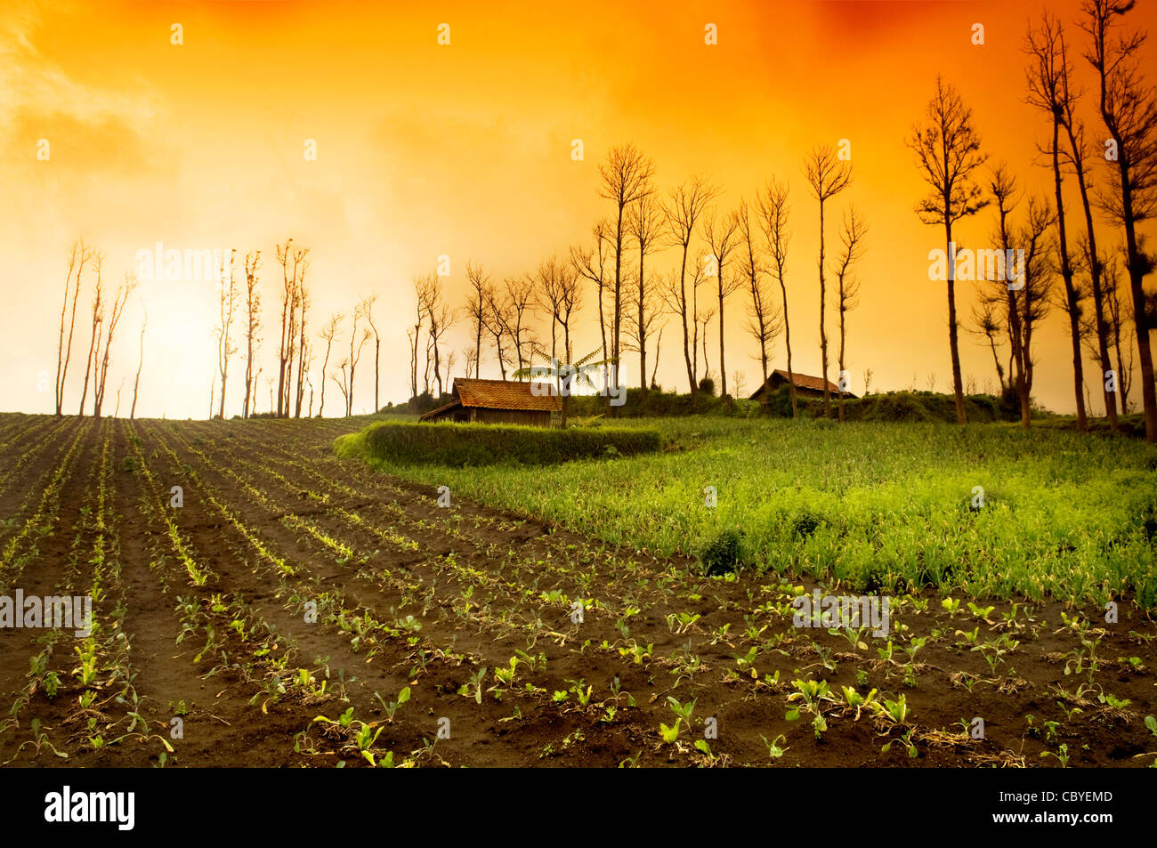 Saturated farm land hi-res stock photography and images - Alamy