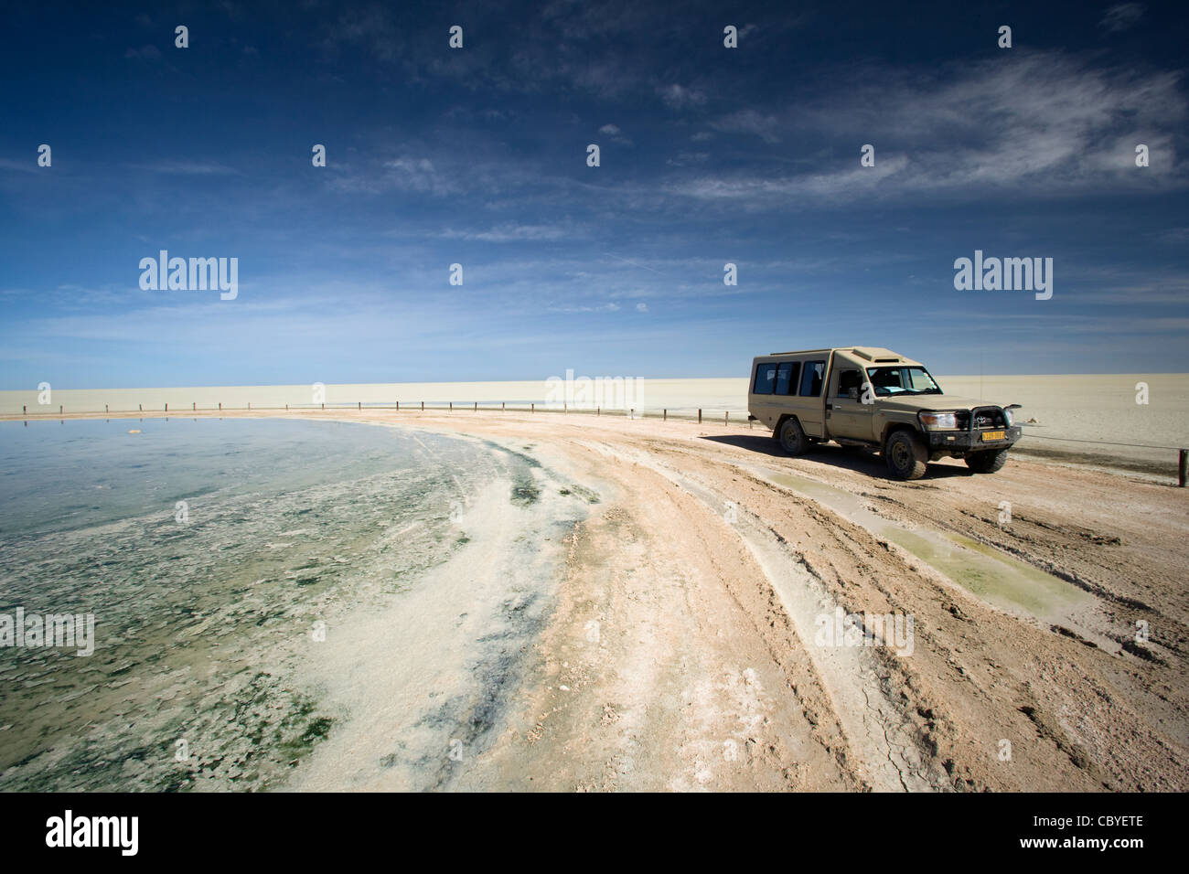 Etosha national park hi-res stock photography and images - Alamy