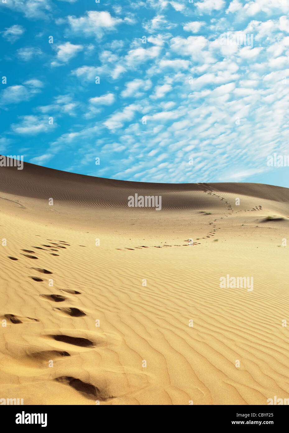 Rolling Desert High Resolution Stock Photography and Images - Alamy