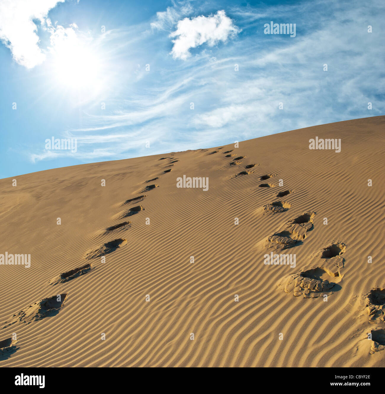 Desert india hi-res stock photography and images - Alamy