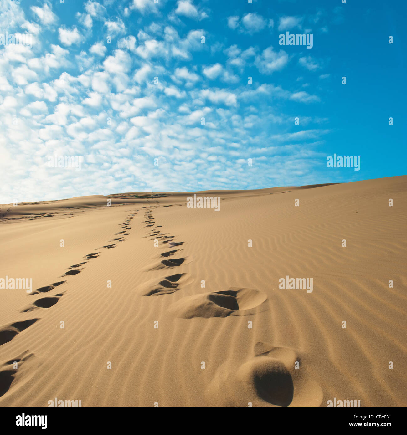 Rolling Desert High Resolution Stock Photography and Images - Alamy