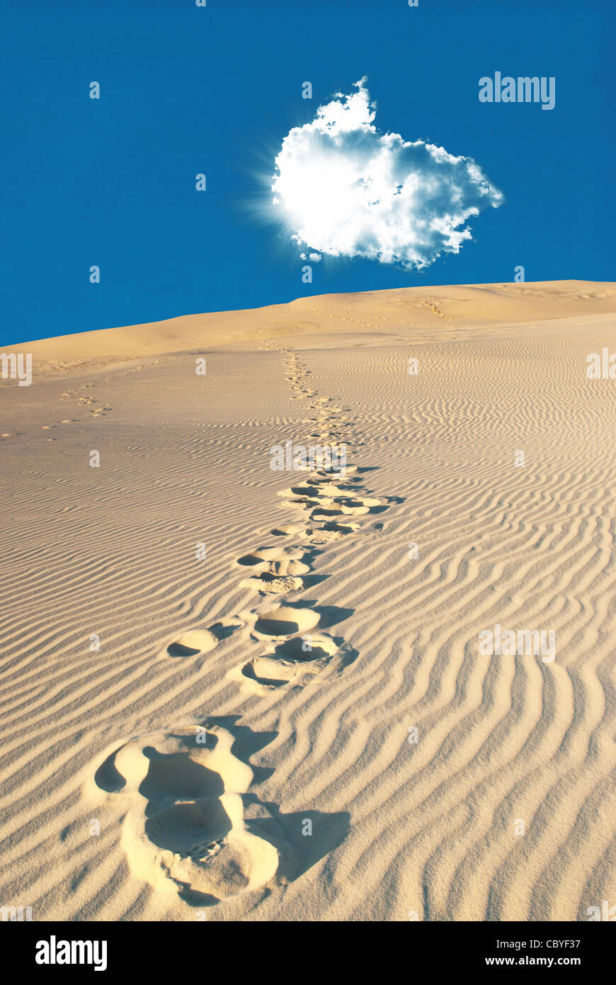 Rolling over in the sand hi-res stock photography and images - Alamy