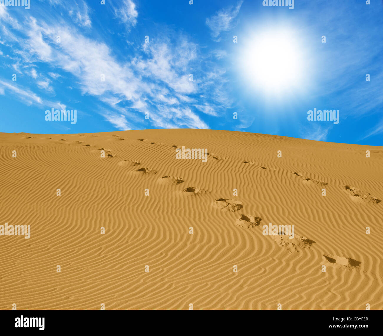 Footprints In The Desert High Resolution Stock Photography and Images ...
