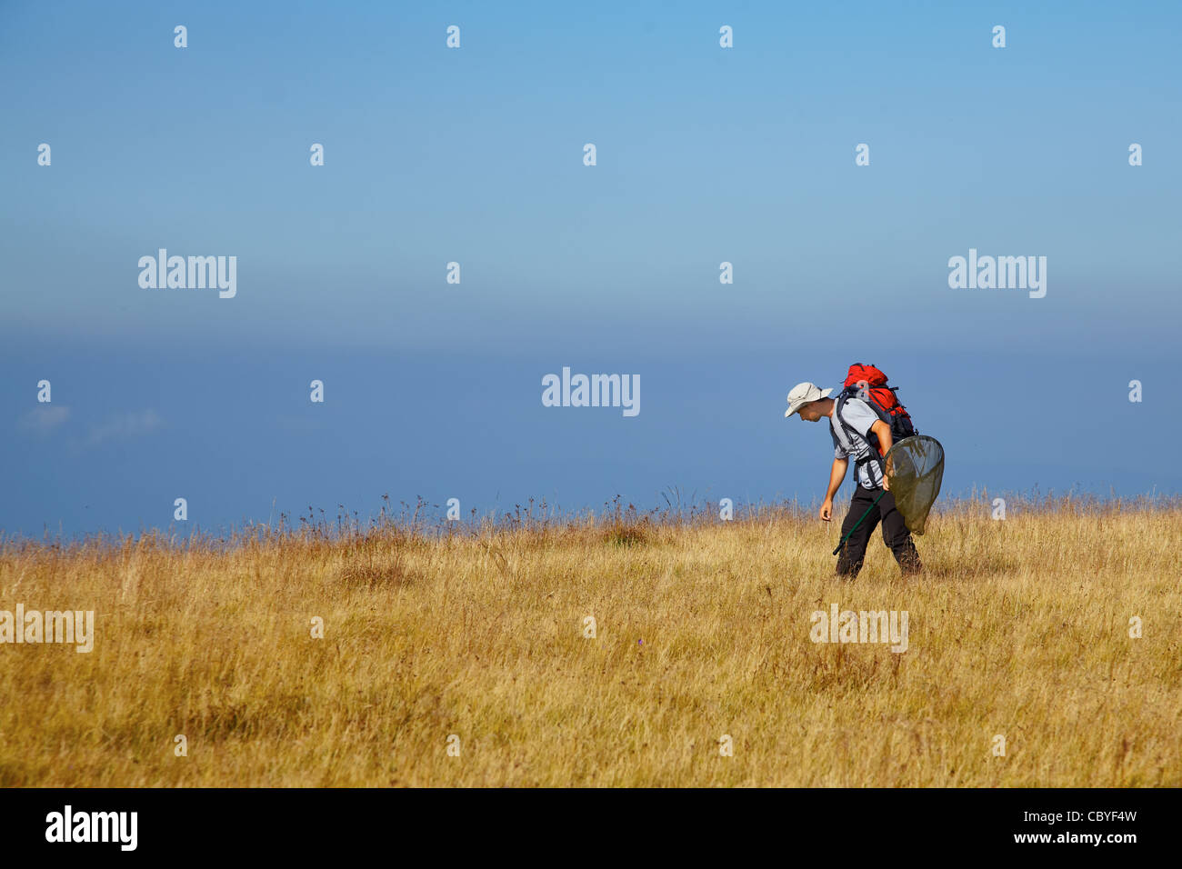 Entomologist hi-res stock photography and images - Alamy