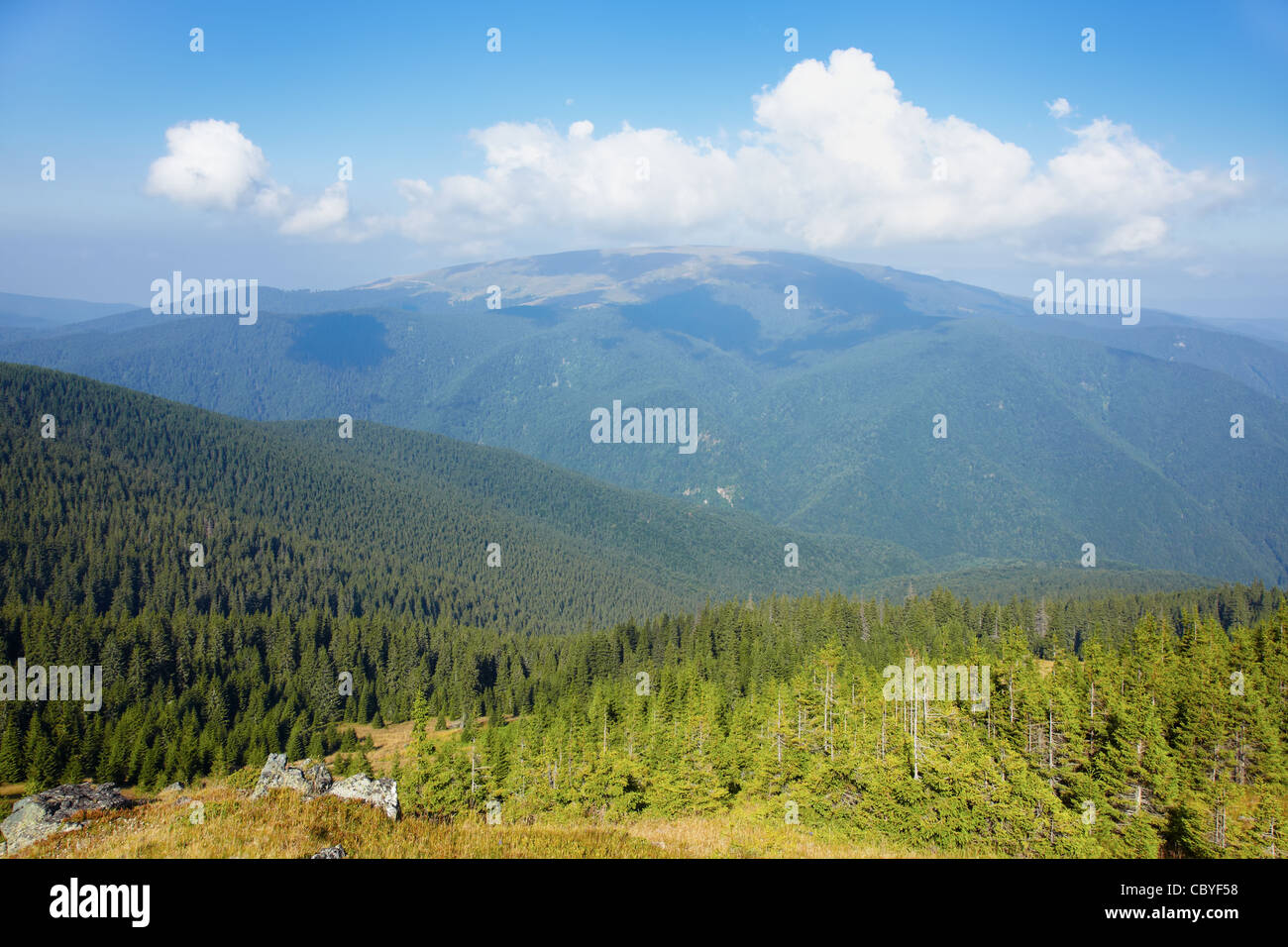 View of Muntele Mic in Tarcu Mountains in summer, Romania Stock Photo ...