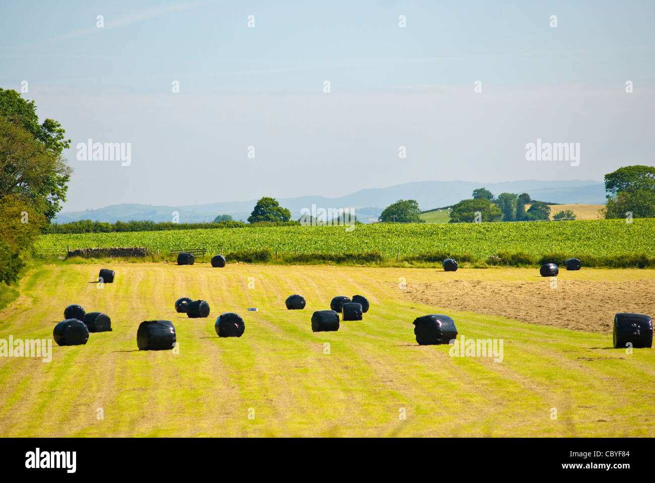 Silage Field High Resolution Stock Photography and Images - Alamy