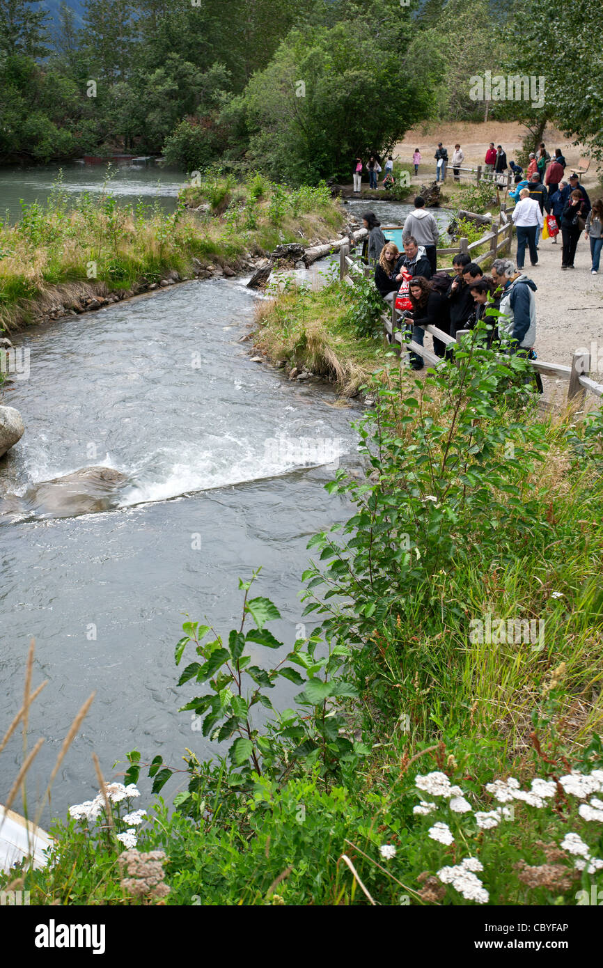 Pullen hi-res stock photography and images - Alamy