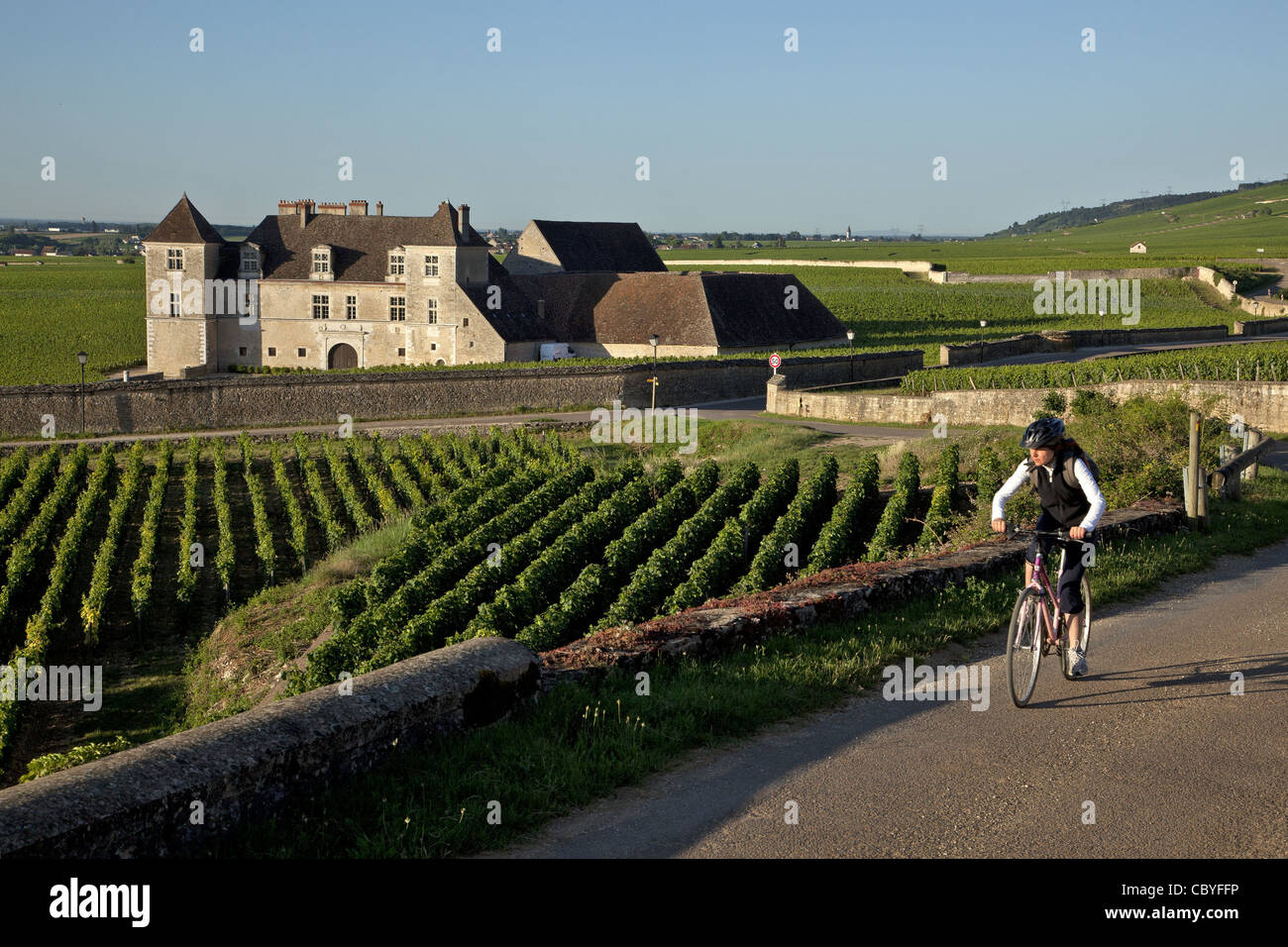 Knights fold hi-res stock photography and images - Alamy