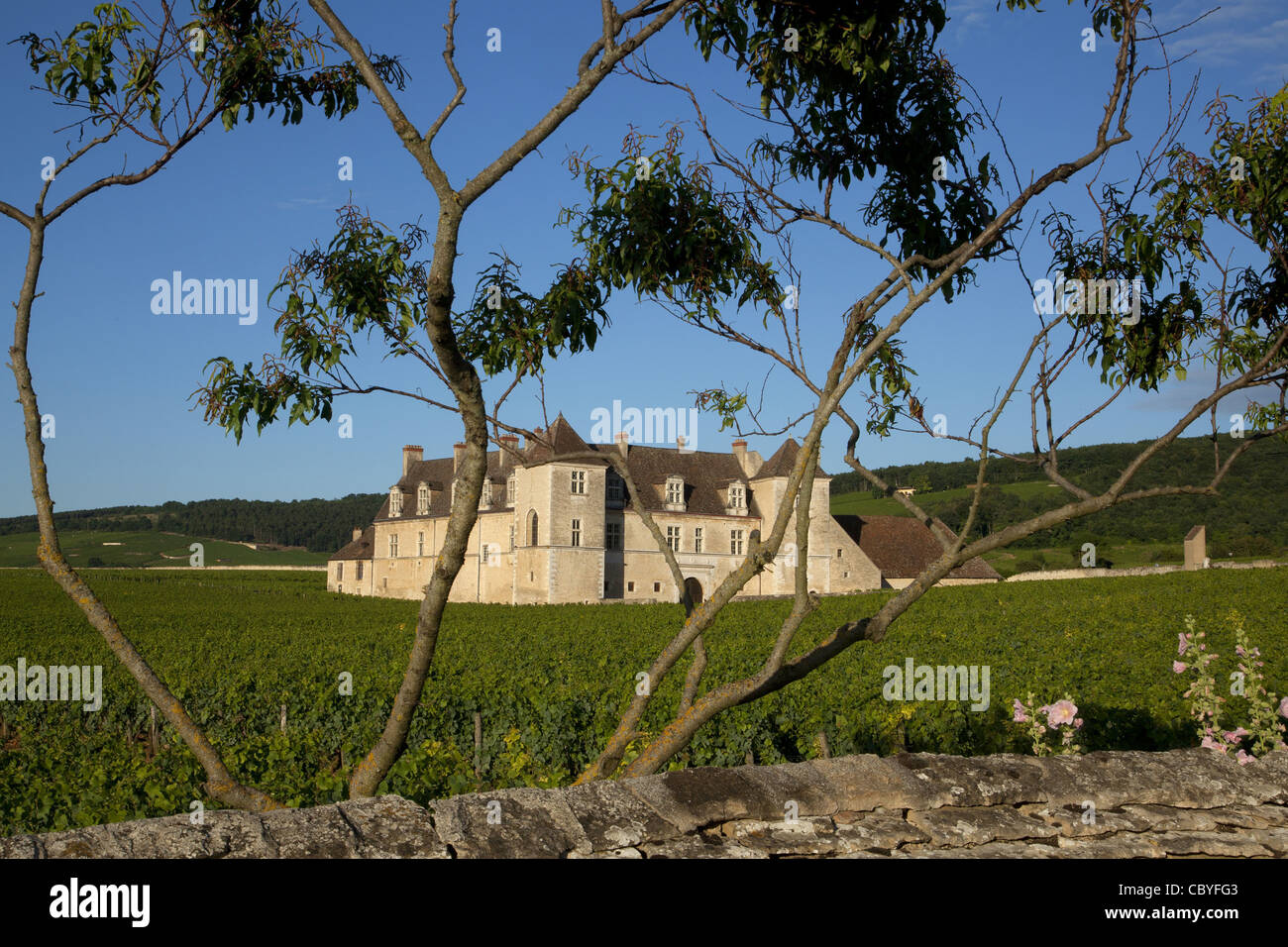 Knights fold hi-res stock photography and images - Alamy