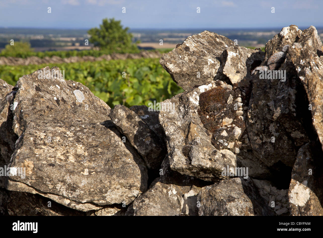 Meursault Vineyards High Resolution Stock Photography and Images - Alamy