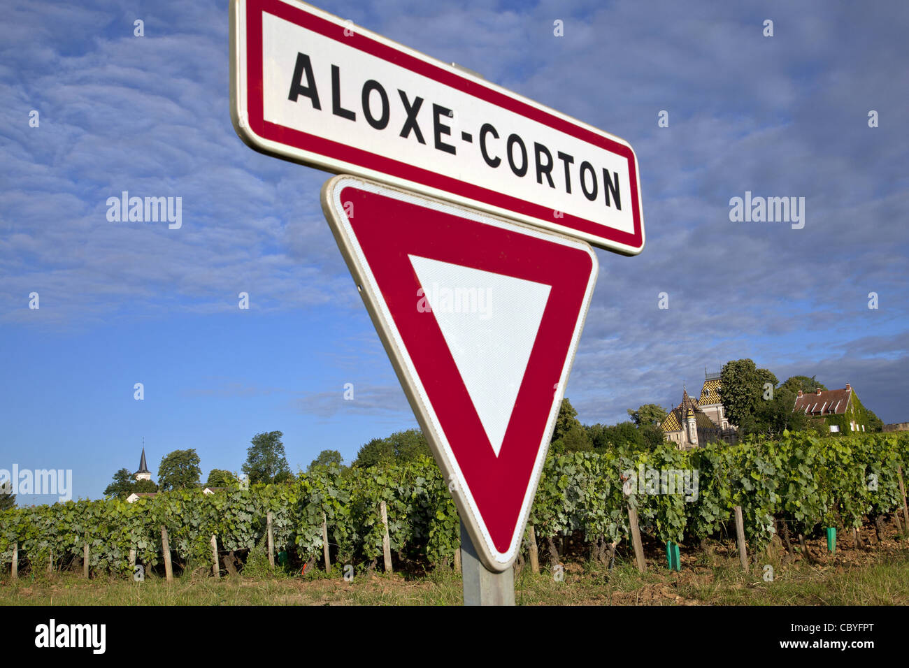 ALOXE-CORTON VINEYARDS, THE GREAT BURGUNDY WINE ROAD, COTE D’OR (21 ...