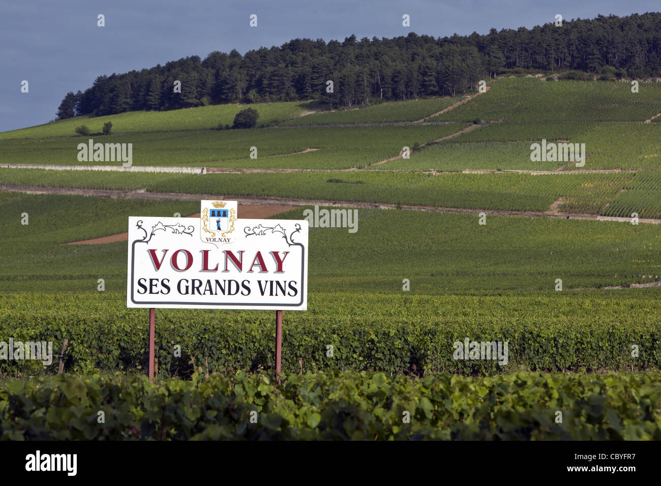 Volnay High Resolution Stock Photography and Images - Alamy
