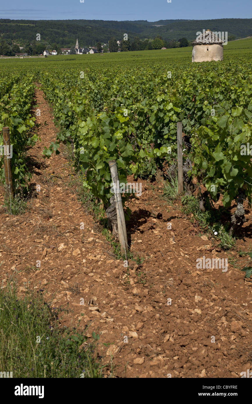 Chalky soil france hi-res stock photography and images - Alamy