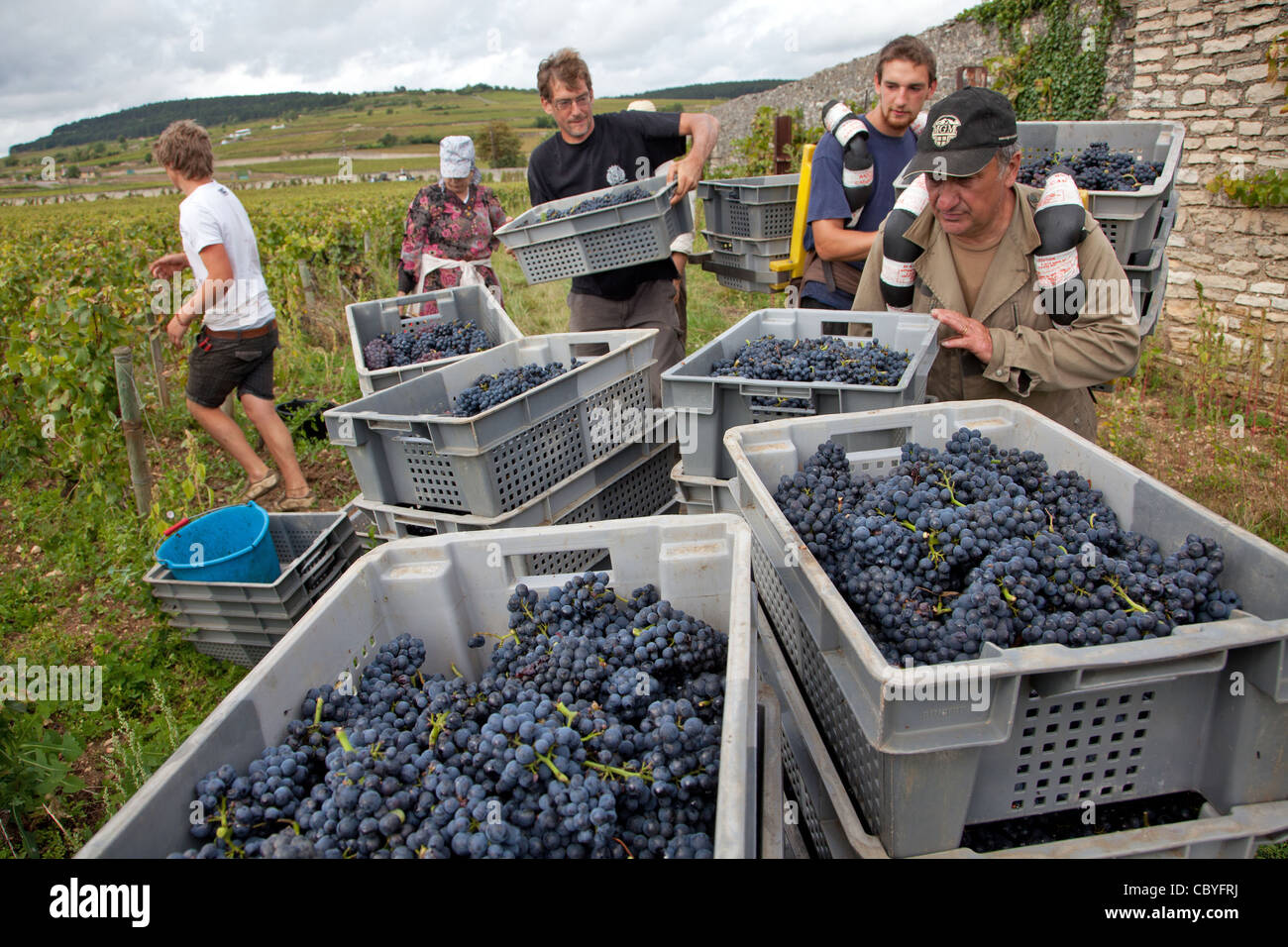 Aoc back hi-res stock photography and images - Alamy