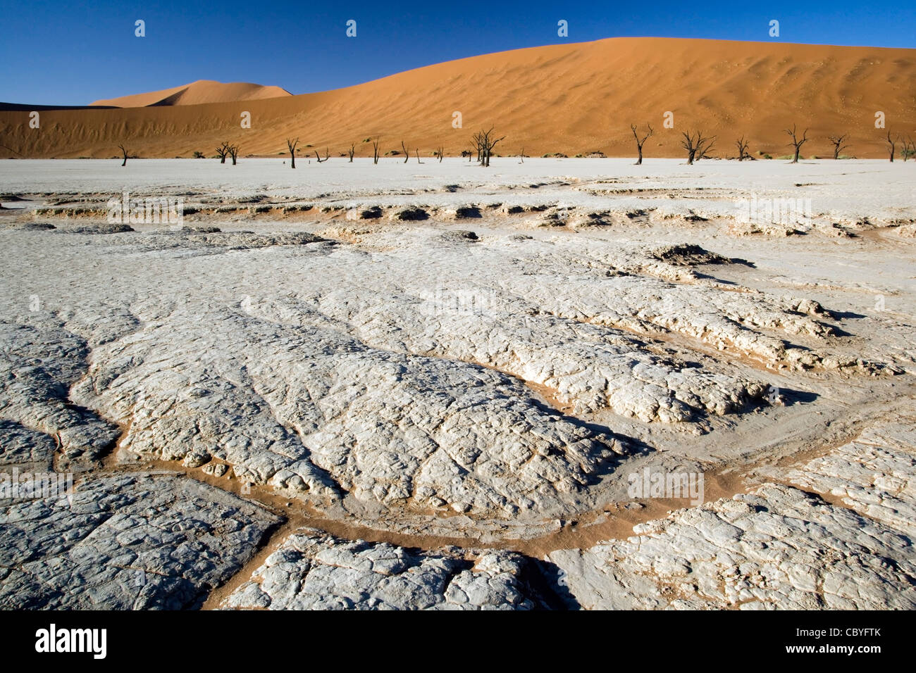 Dead vlei hi-res stock photography and images - Alamy