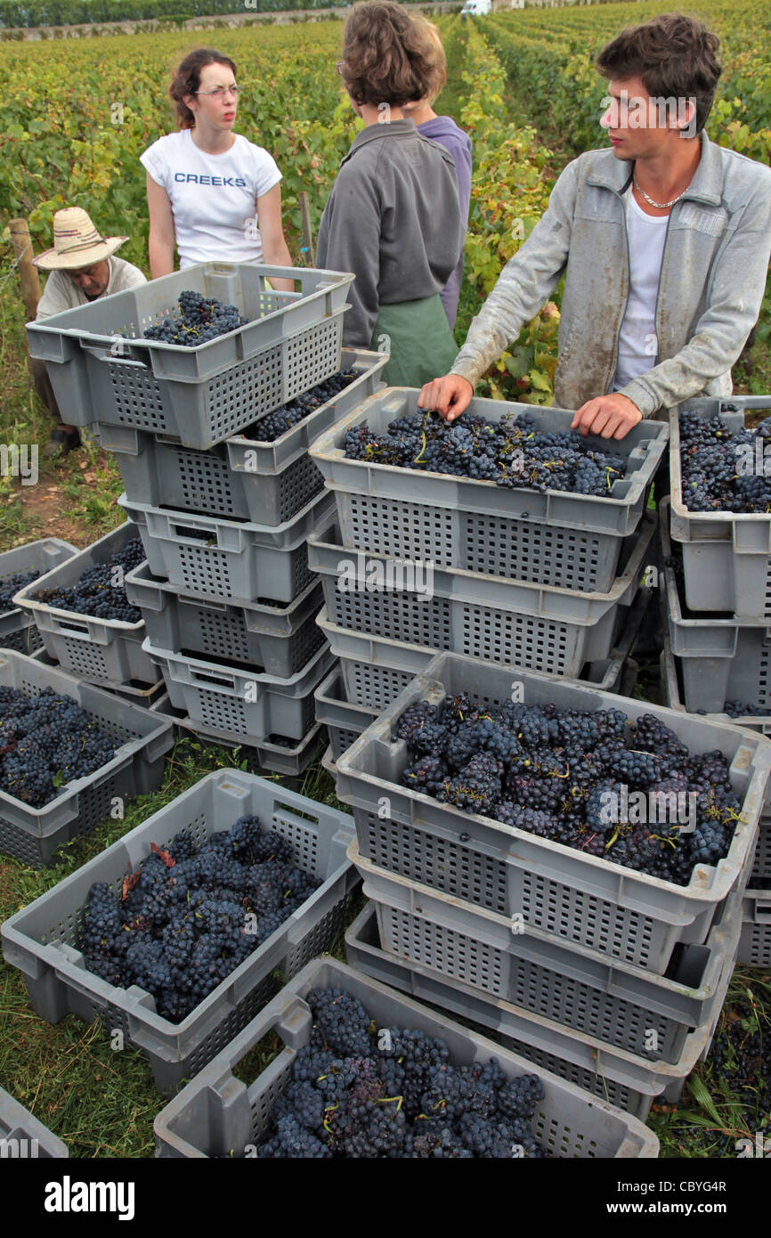 Pommard controlee hi-res stock photography and images - Alamy