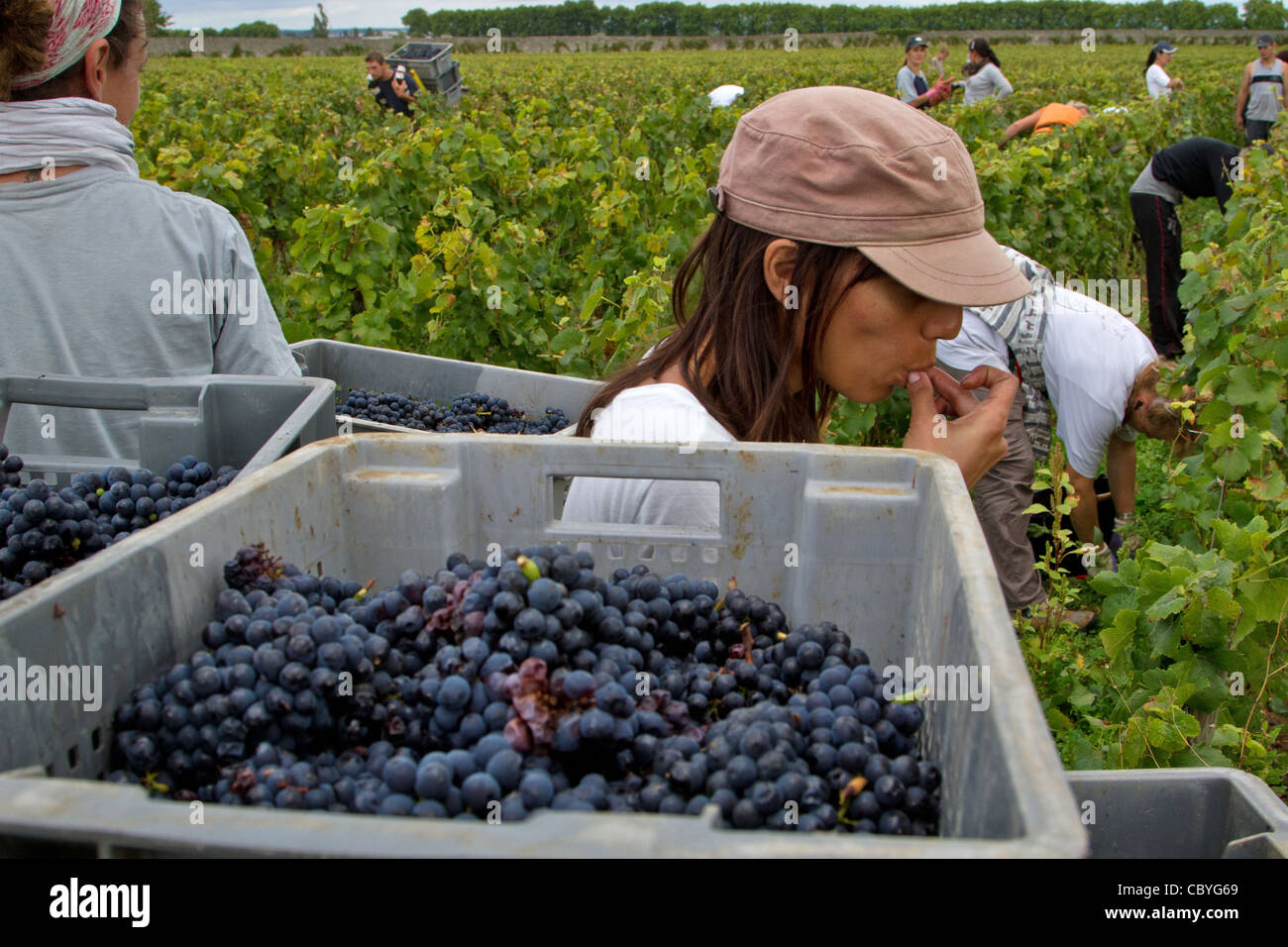 Pommard controlee hi-res stock photography and images - Alamy