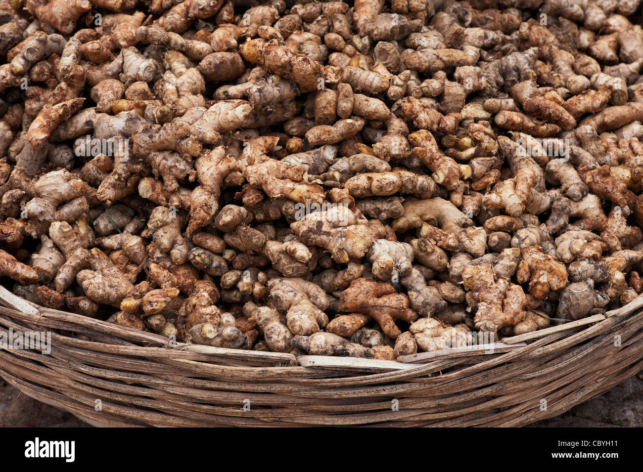 Fresh Root Ginger in a basket at an Indian market. Andhra Pradesh ...
