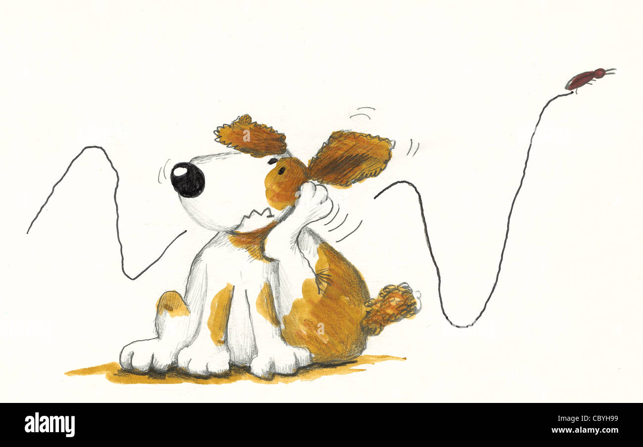 Hand made illustration of dog scratching Stock Photo - Alamy