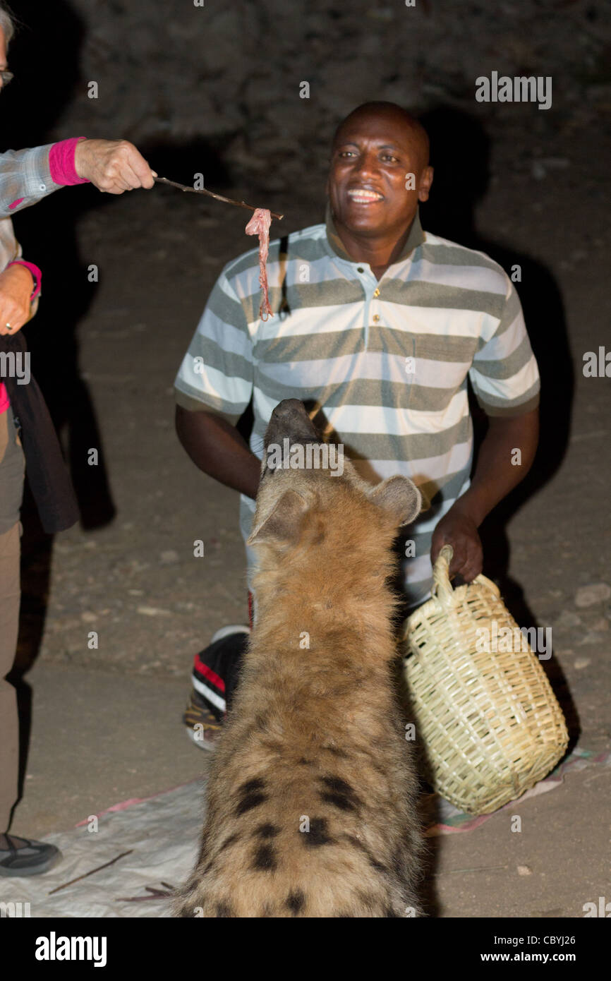The Hyena man feeding wild hyenas outside Harar in eastern Ethiopia ...
