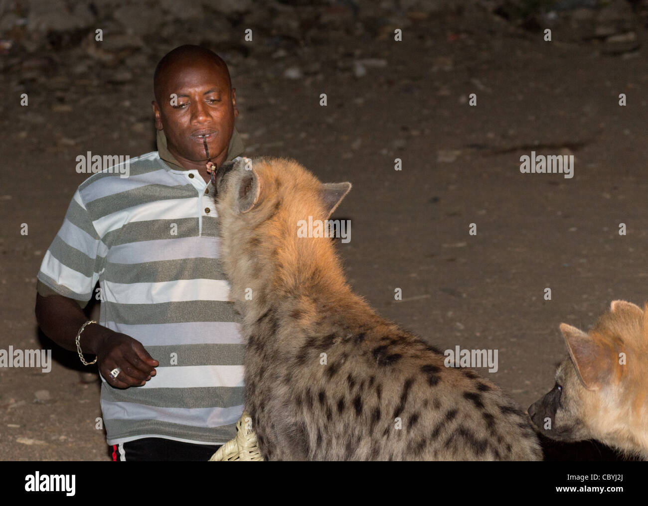 The Hyena man feeding wild hyenas outside Harar in eastern Ethiopia ...