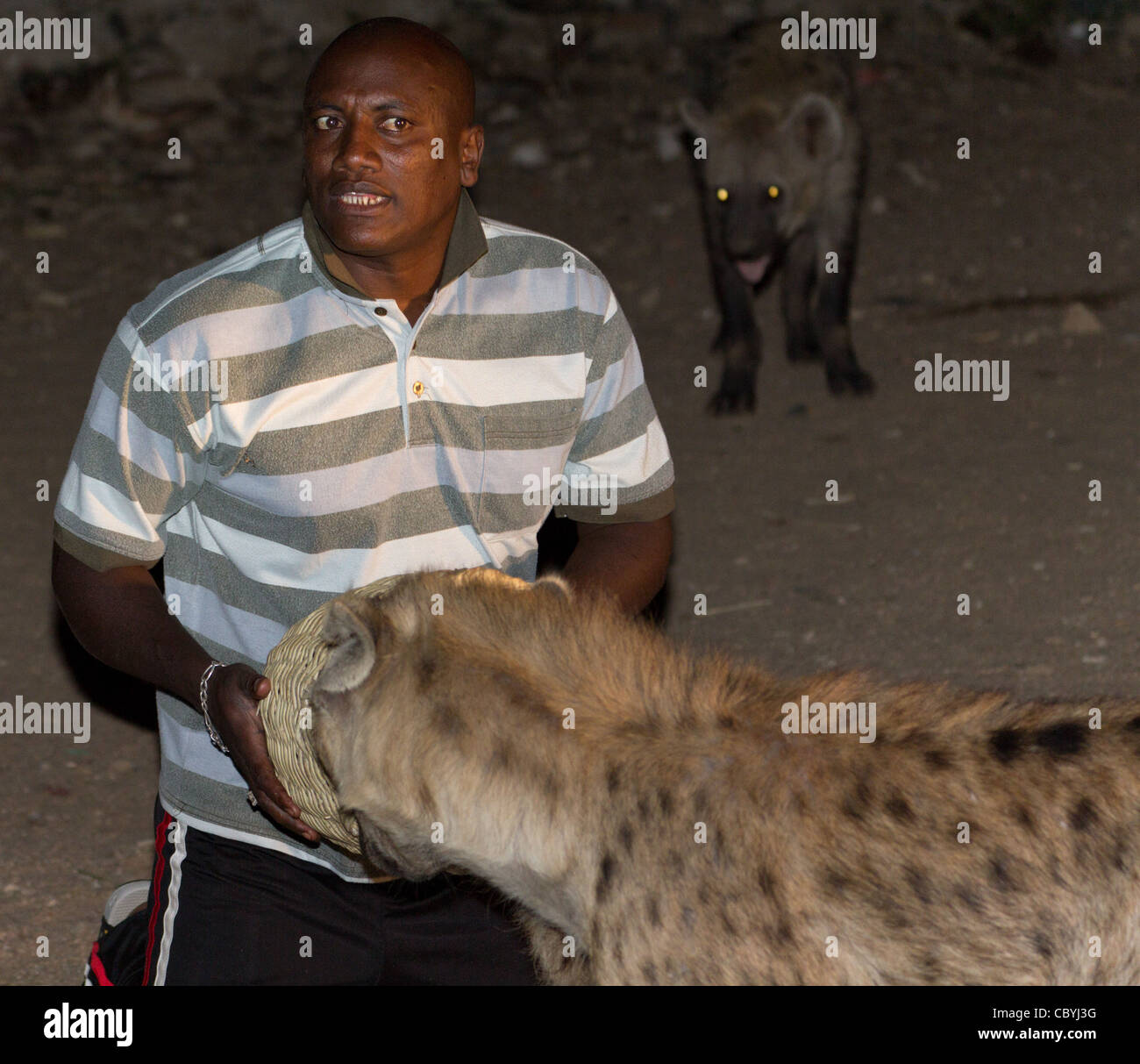 The Hyena man feeding wild hyenas outside Harar in eastern Ethiopia ...