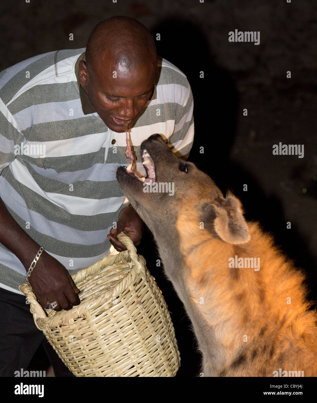 The Hyena man feeding wild hyenas outside Harar in eastern Ethiopia ...