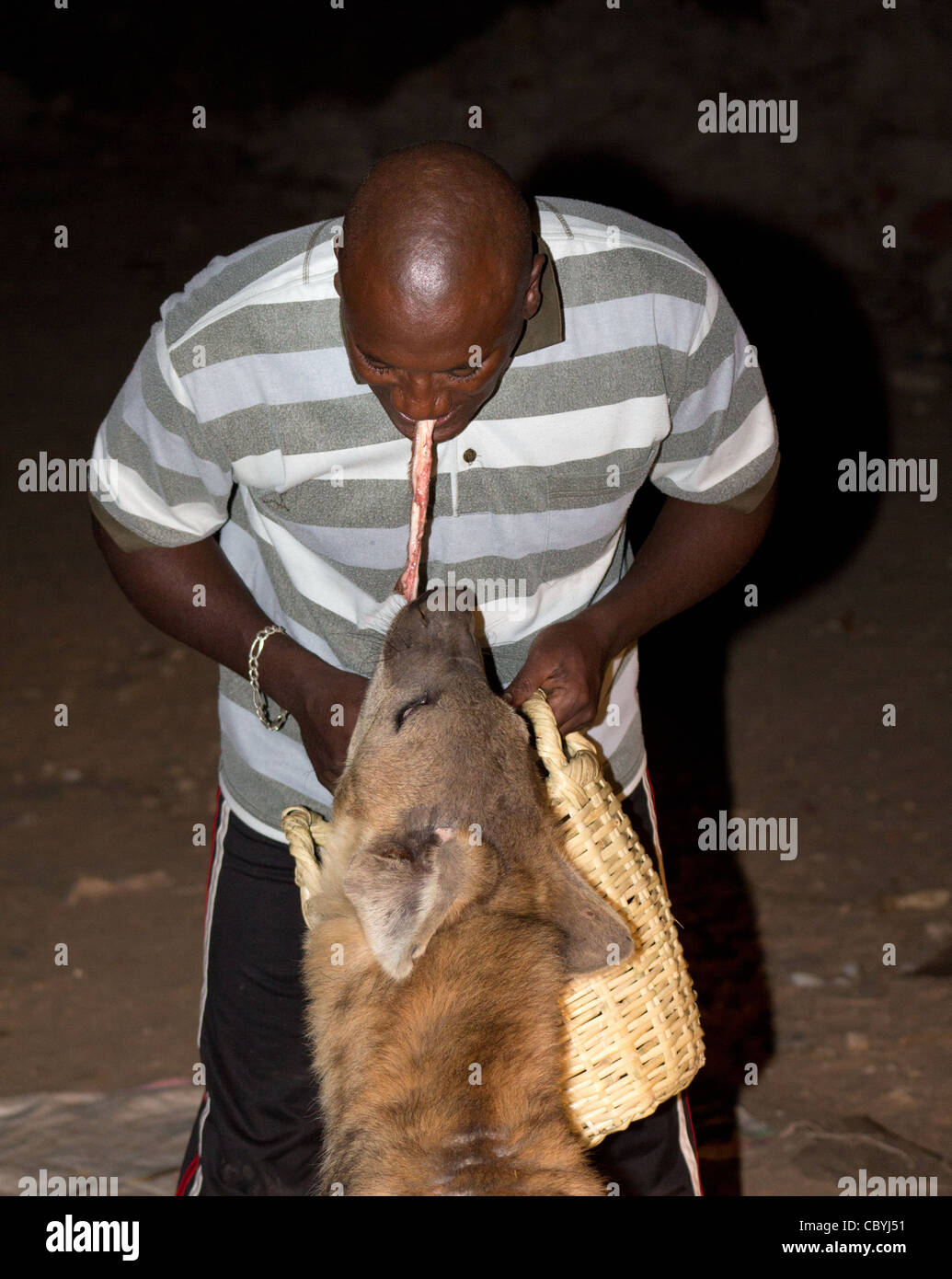 Hyena feeding harar ethiopia africa hi-res stock photography and images ...