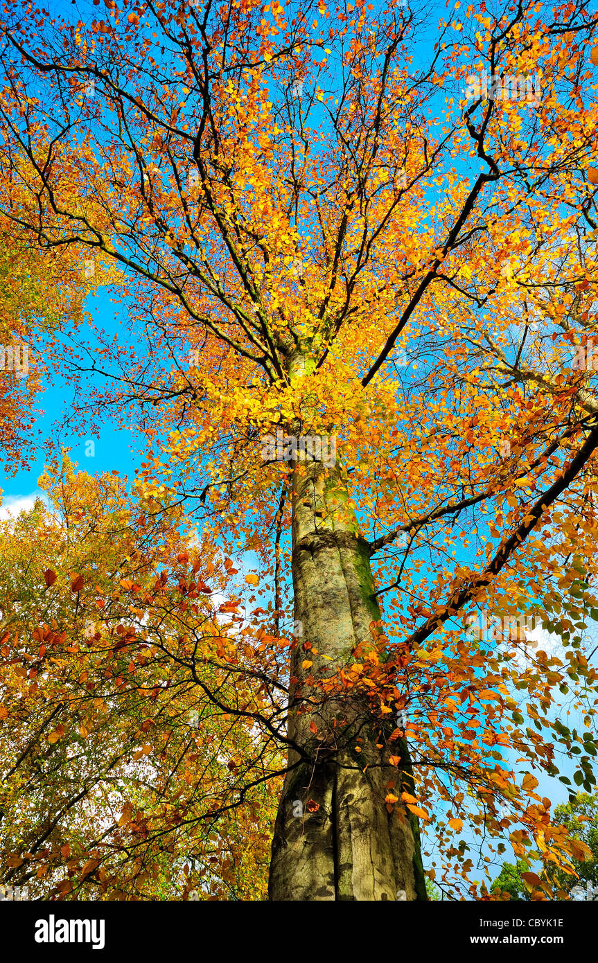 Clappersgate hi-res stock photography and images - Alamy