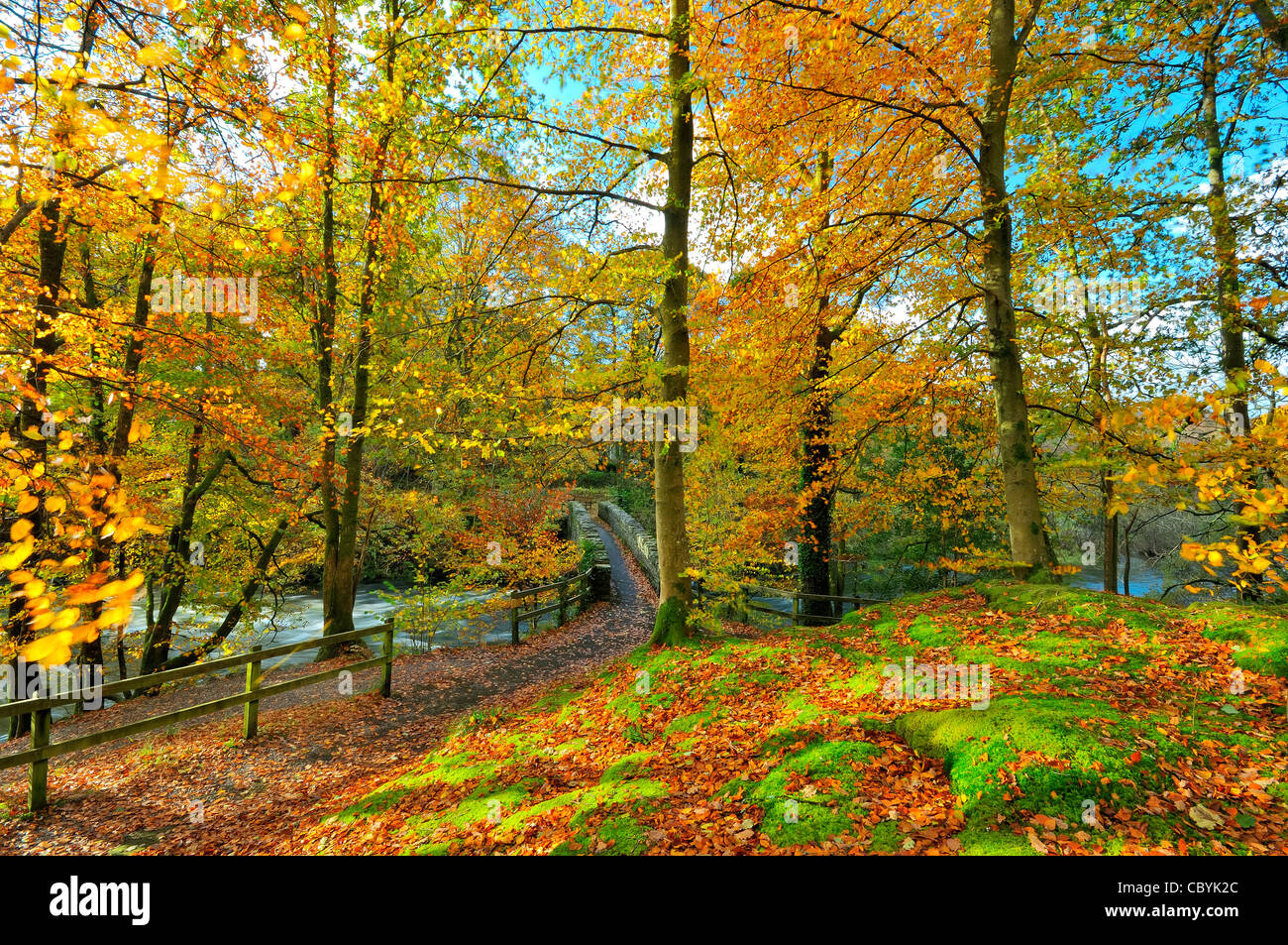 autumnal colours at clappersgate,lake district,cumbria,england,uk ...