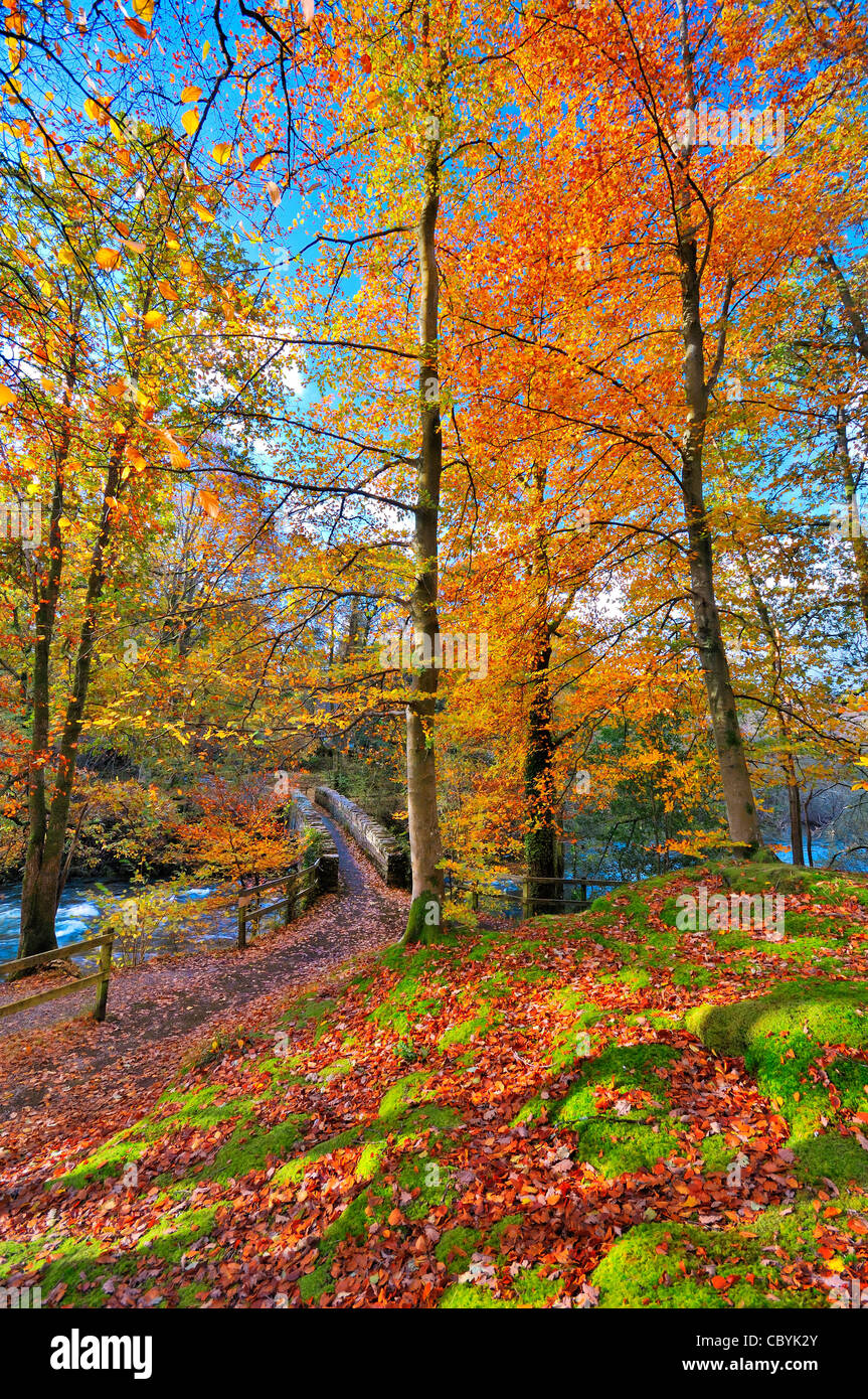 Clappersgate bridge hi-res stock photography and images - Alamy